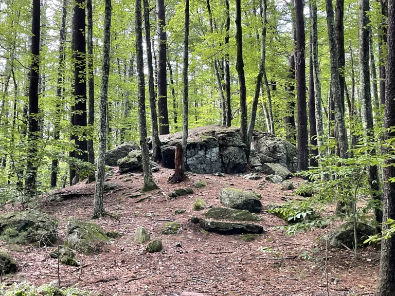 CRs Protect Land Forever | Sudbury Valley Trustees