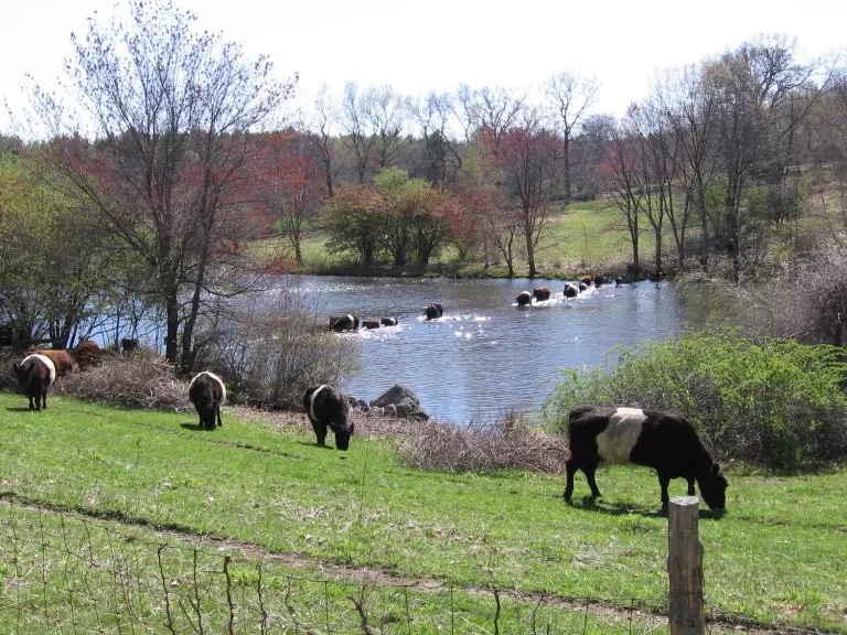 Mainstone Farm | Sudbury Valley Trustees
