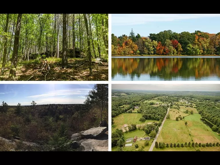 Healthy Land Supports a Healthy Society | Sudbury Valley Trustees