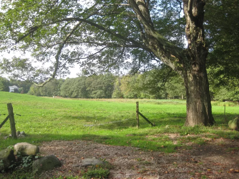 Mainstone Farm | Sudbury Valley Trustees